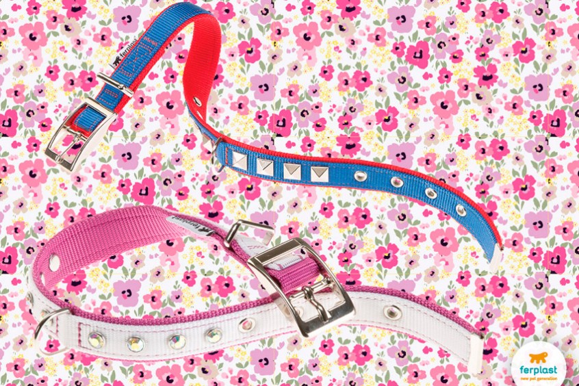SPRING IS IN THE AIR, FERPLAST COLOURS CELEBRATE IT - LOVE FERPLAST