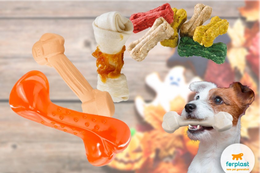 Dogs and Halloween-themed accessories - LOVE FERPLAST