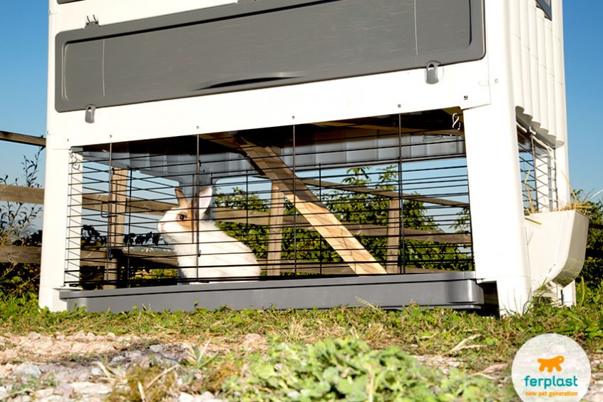 Rabbits in the garden: living a hassle-free life outdoors - LOVE FERPLAST