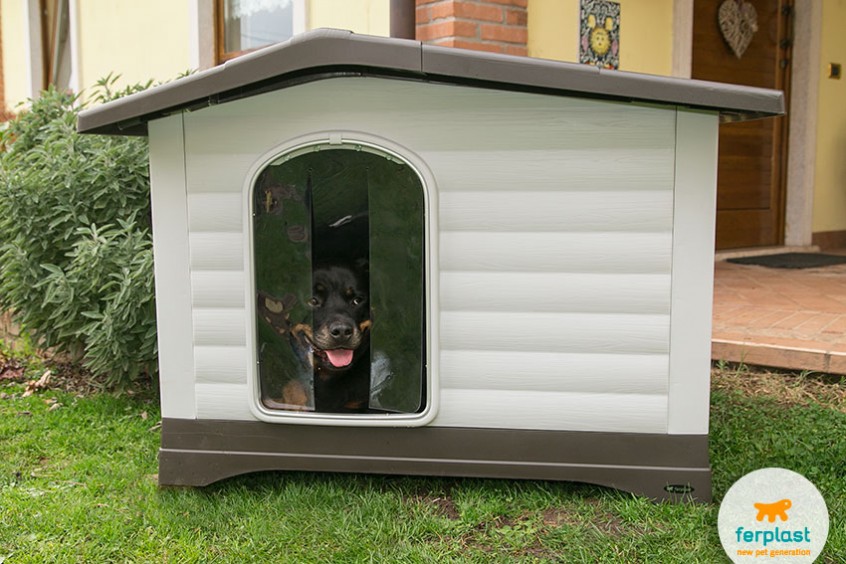 Finding the right size of dog house - LOVE FERPLAST