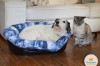 Choose the right sized Ferplast Siesta Deluxe dog bed - LOVE FERPLAST