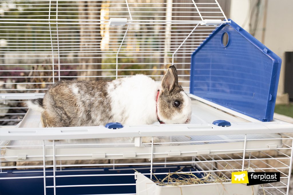 Ferplast 2019 New In: Barn Rabbit Cage