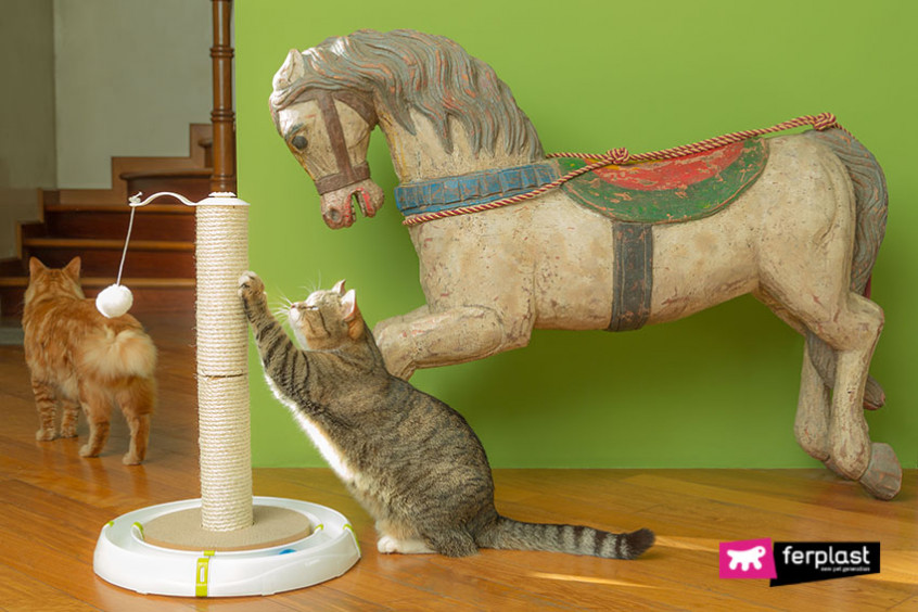 WHY DO CATS SCRATCH? - LOVE FERPLAST