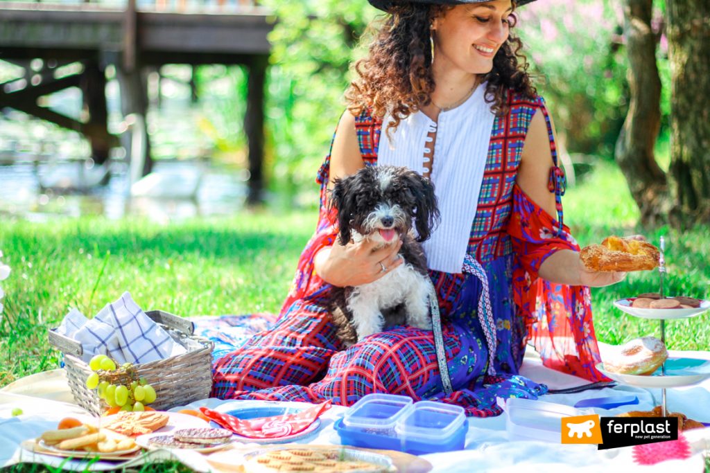Picnic with the Dog: the Best Places to Go