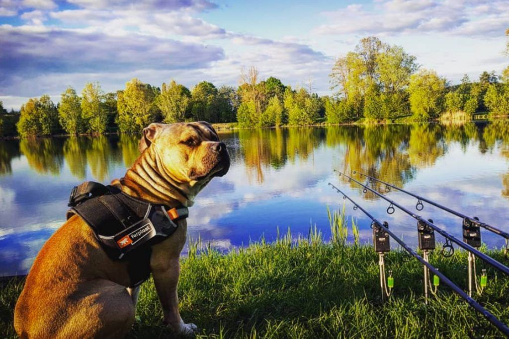 Best Of Summer 2018: Best Pictures of Instagram