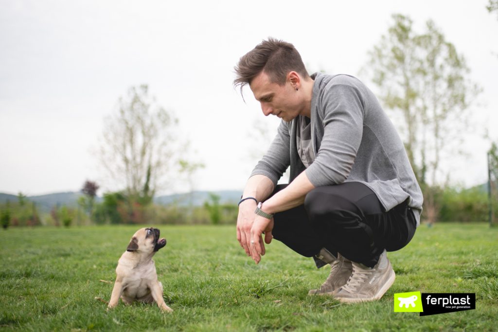 Are Dogs Empathetic? The Healing Power Of Dogs