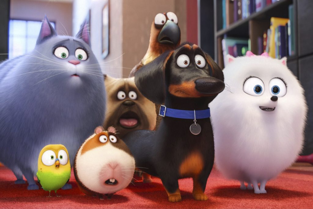 5 Unmissable Movies With Pets in the Main Role