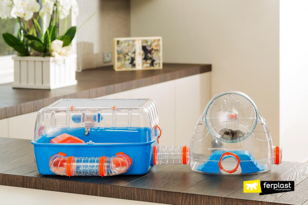 HAMSTERS HABITAT AND HABITS