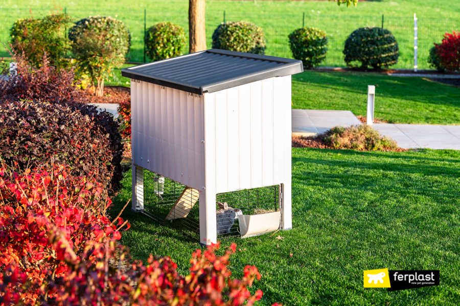 The Best Plastic Hutches for Rabbits made by Ferplast