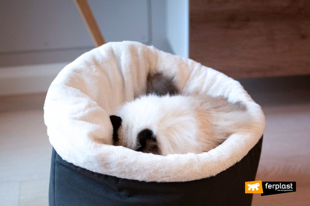Warming Up Dogs And Cats With Faux Fur Beds by Ferplast