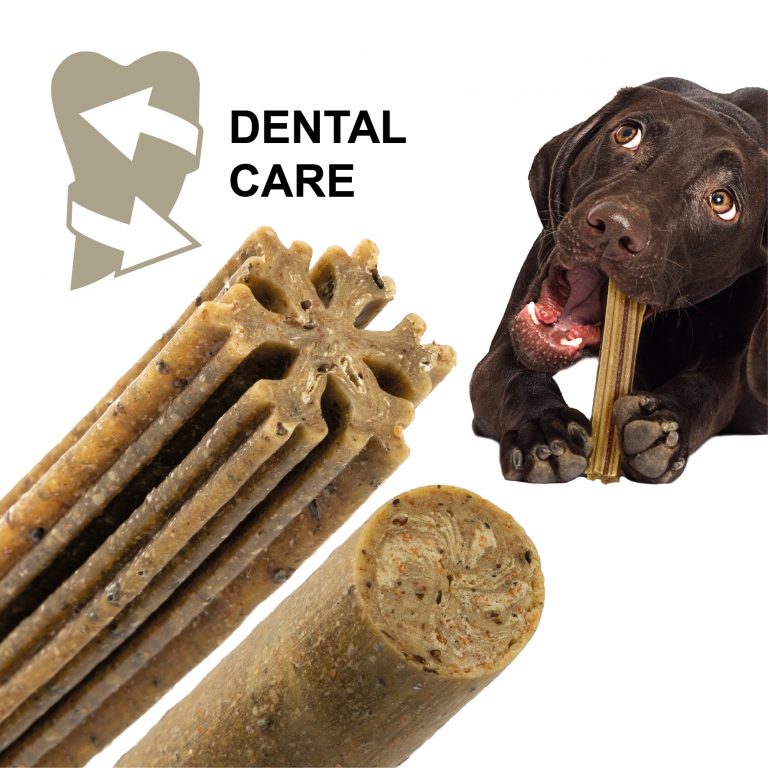 VEGETABLE DENTAL SNACKS FOR DOGS: WHICH TO CHOOSE
