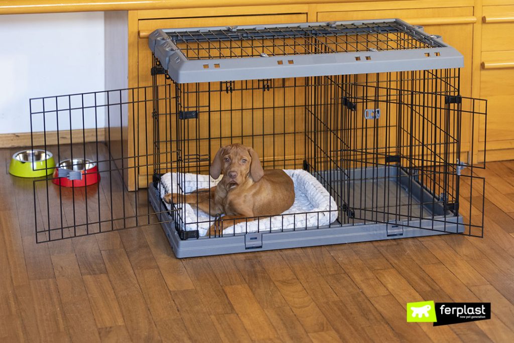 UNLEASH YOUR SUMMER ADVENTURES WITH FERPLAST: COMPARING 2 PORTABLE KENNELS