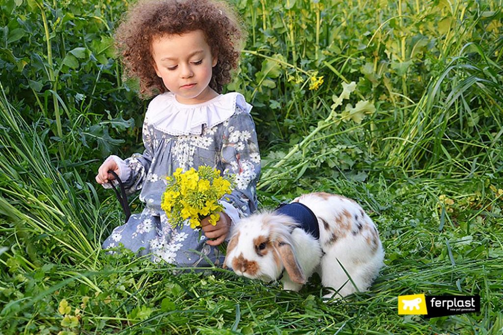ENJOYING A PARK STROLL WITH YOUR RABBIT: ESSENTIAL CARE TIPS