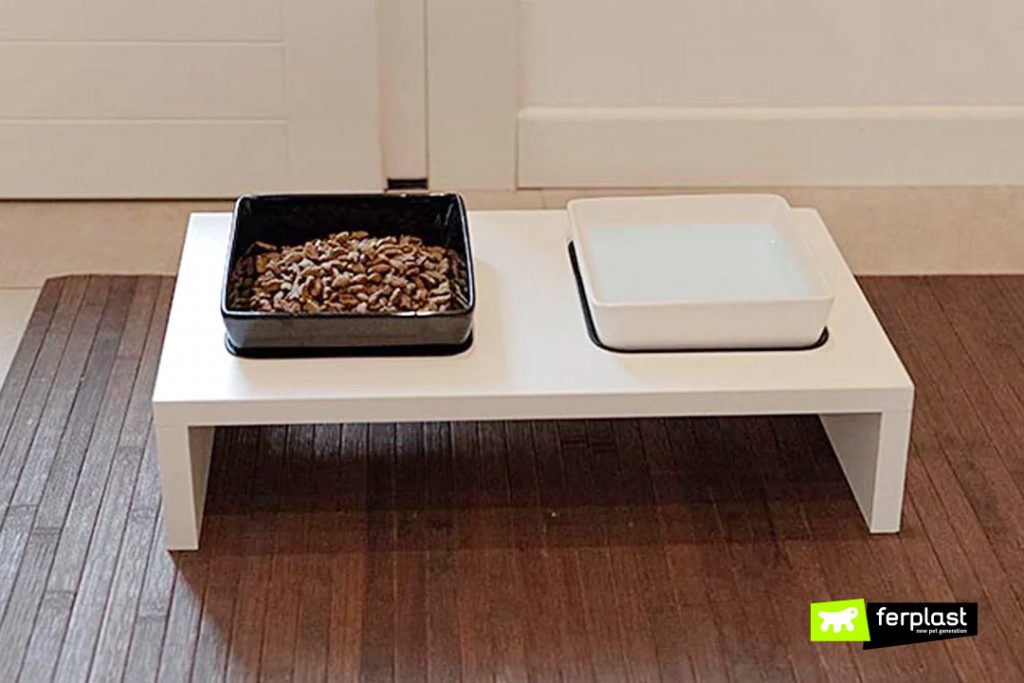 THE BEST FERPLAST ACCESSORIES FOR FEEDING YOUR DOG