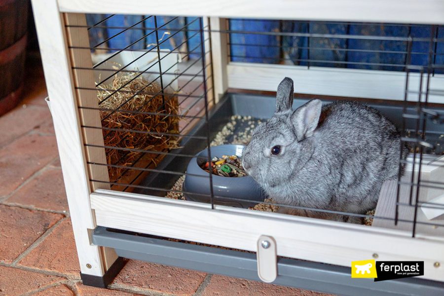 THE LARGE FERPLAST RABBIT HABITATS
